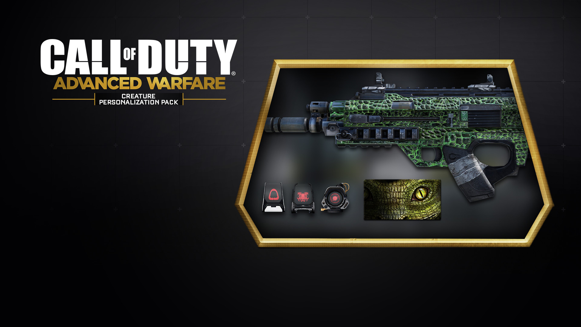 Advanced Warfare Customization Packs