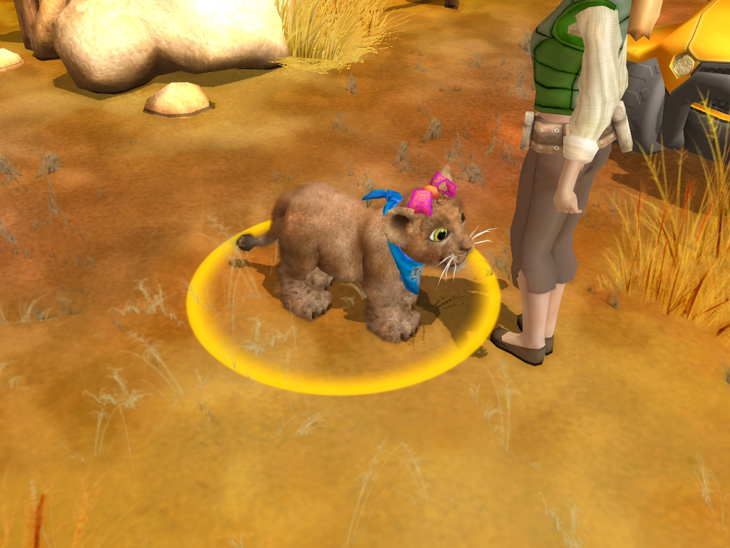 Wildlife Camp on Steam