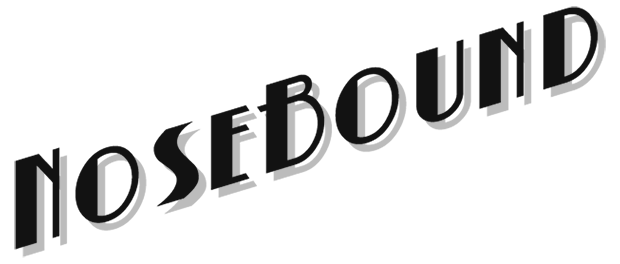 NoseBound · SteamDB