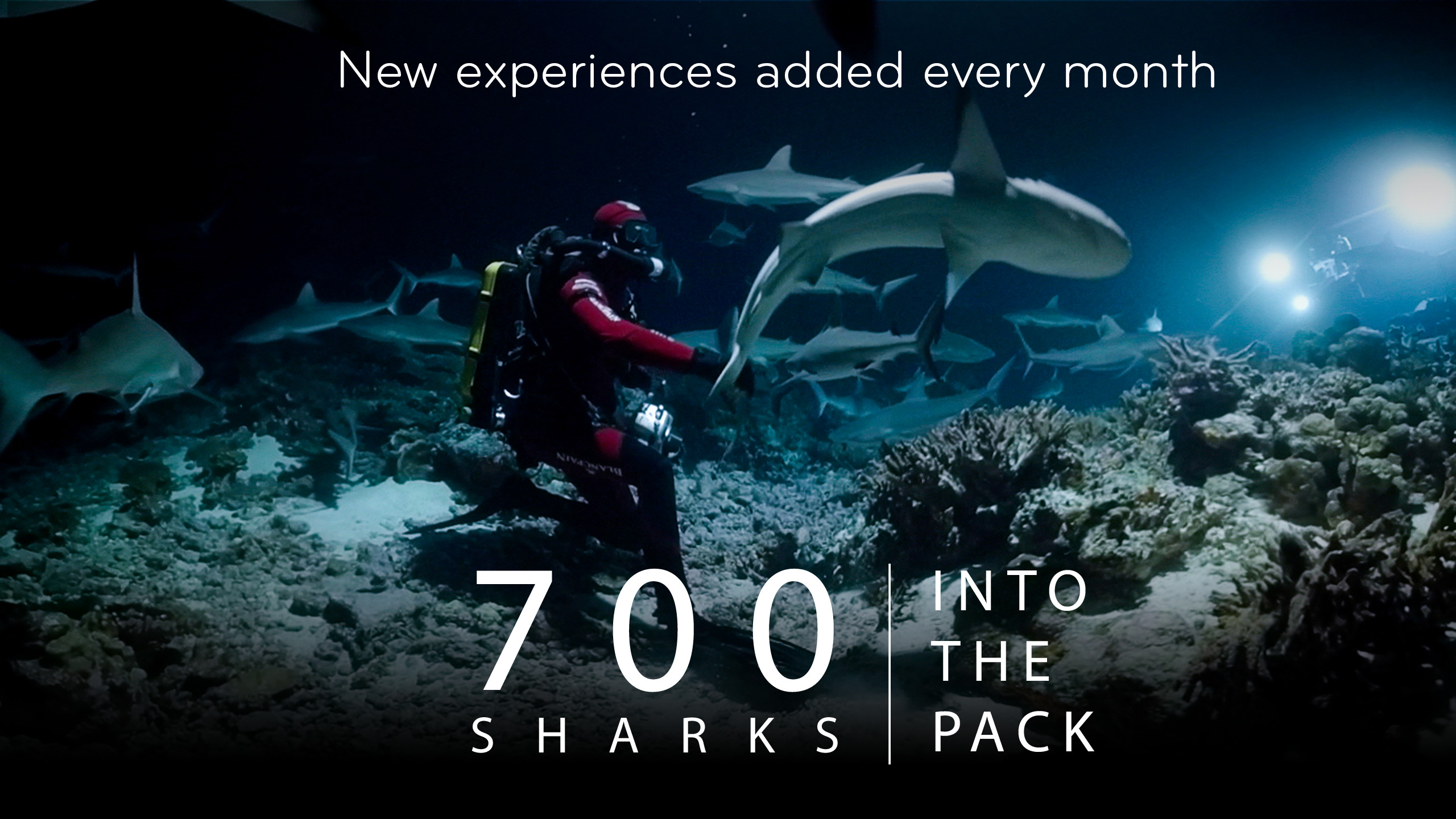 Within VR - Cinematic Virtual Reality (App 458890) · Steam Charts · SteamDB