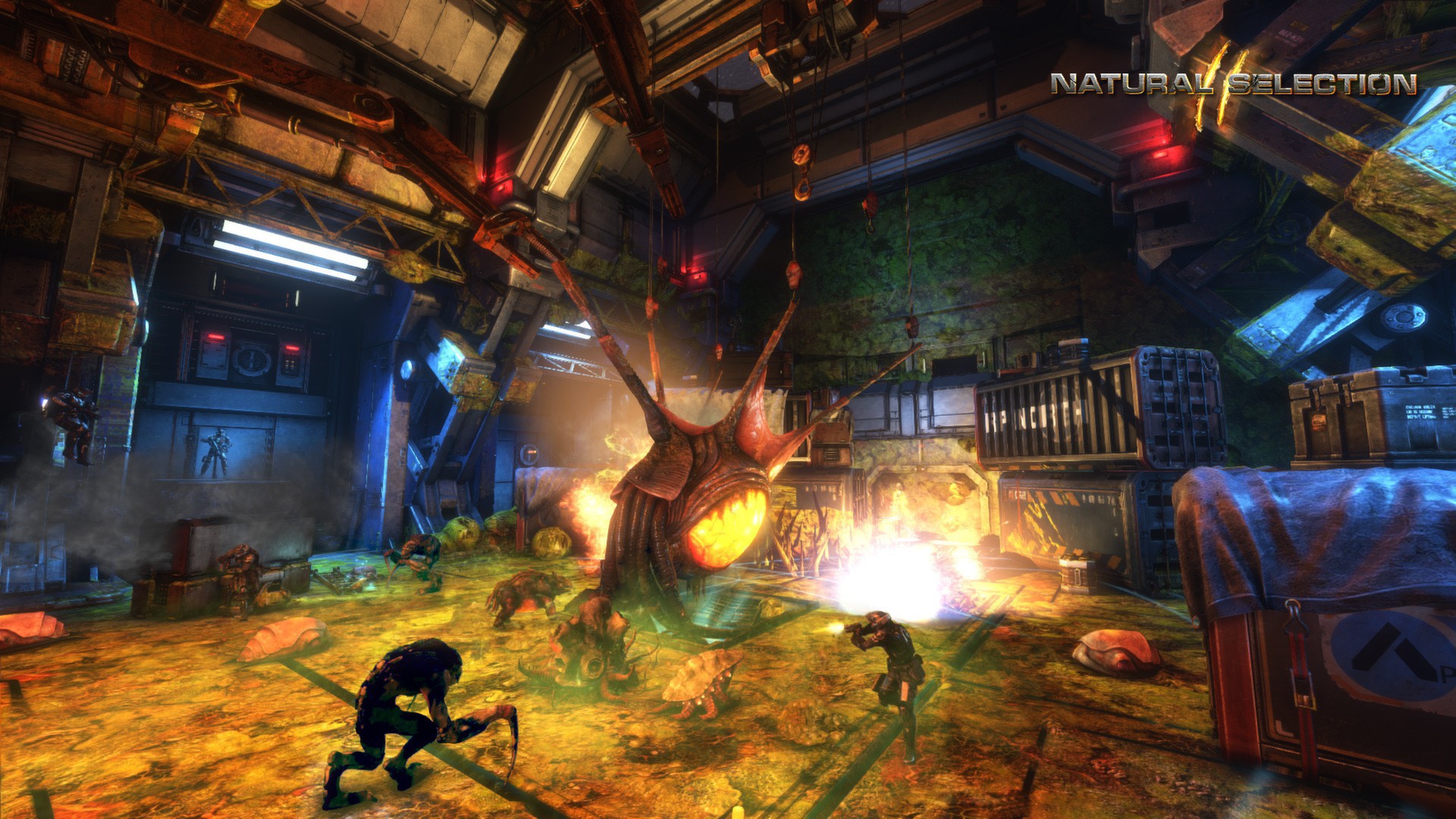 Natural Selection 2 on Steam