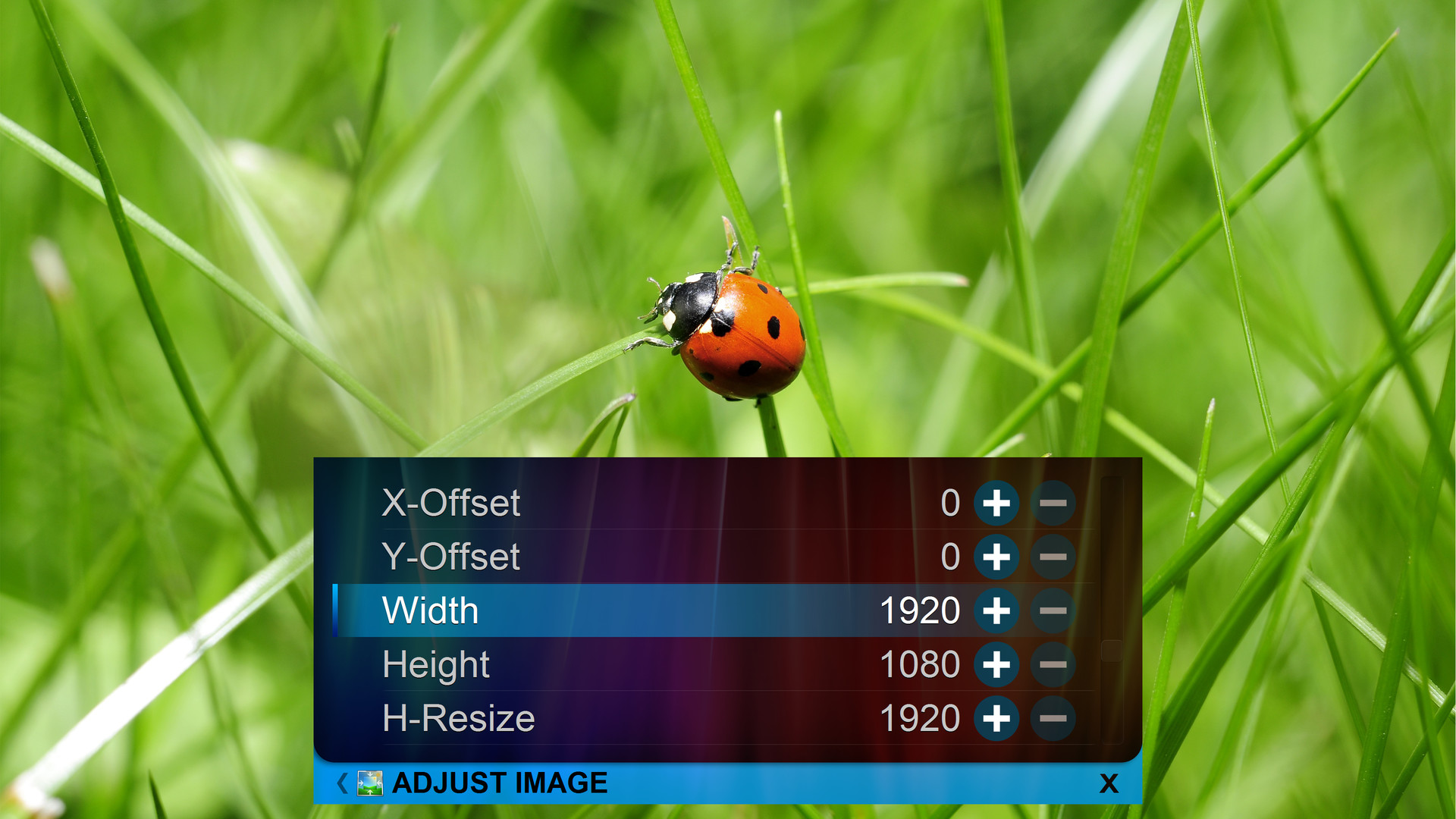 Zoom Player - 4K fullscreen navigation skin on Steam