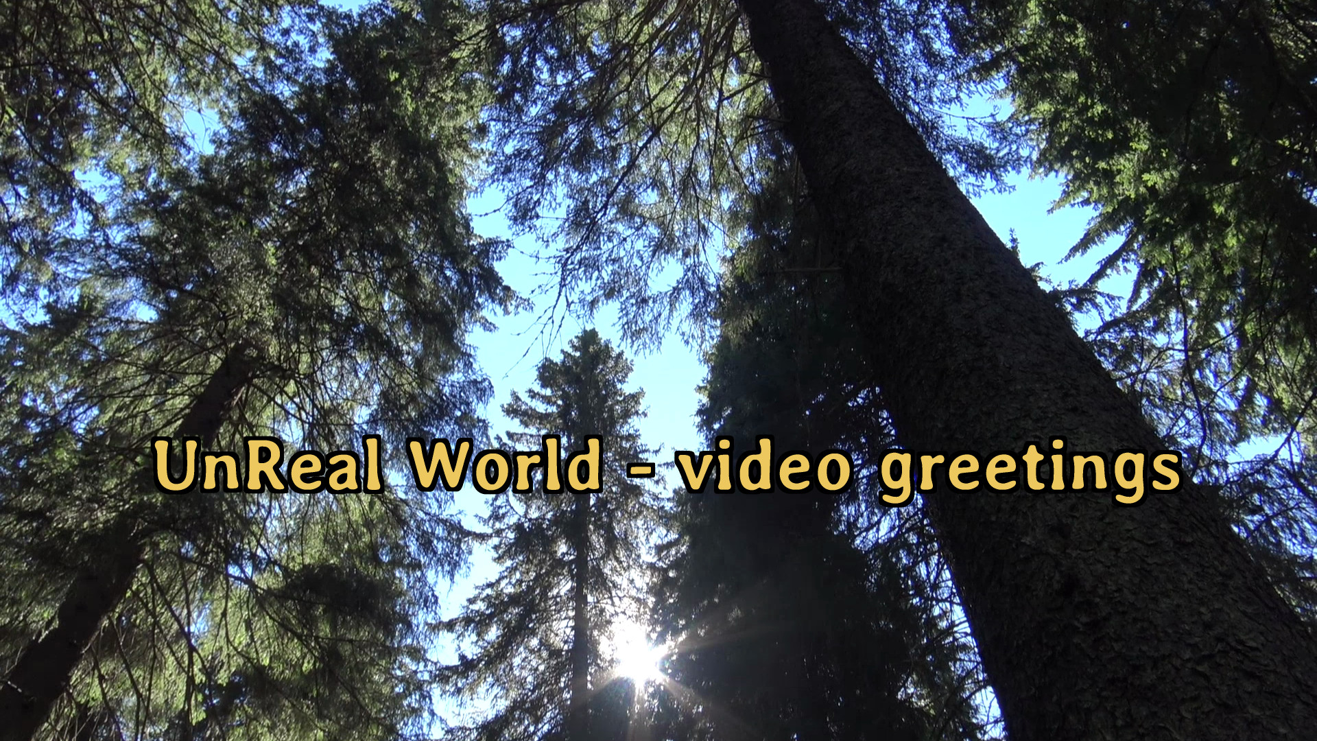UnReal World - Video greetings on Steam