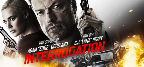 Interrogation Steam Charts · SteamDB