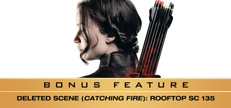 Catching Fire Bow And Arrow Scene