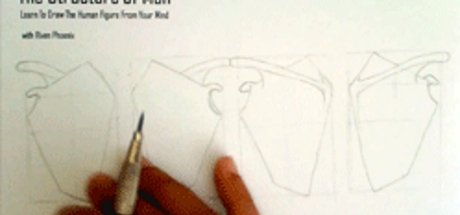 Complete Figure Drawing Course HD: 027 - The Fitting of Scapula on ...