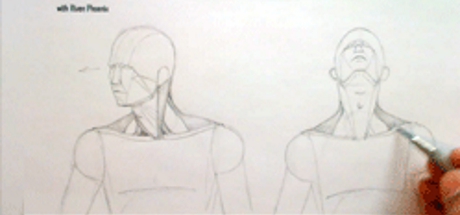 Complete Figure Drawing Course HD: 119 - The Muscles of The Human Neck ...