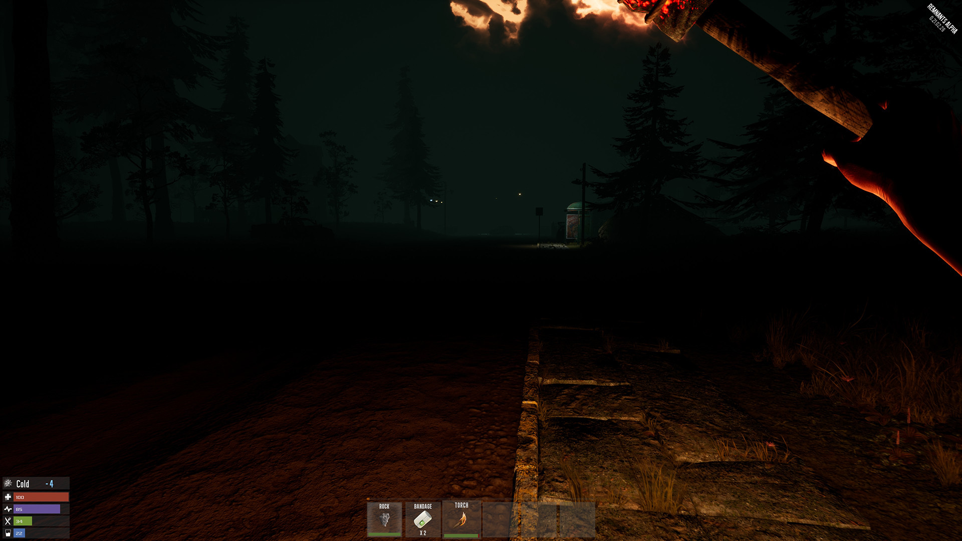 Rem Survival on Steam