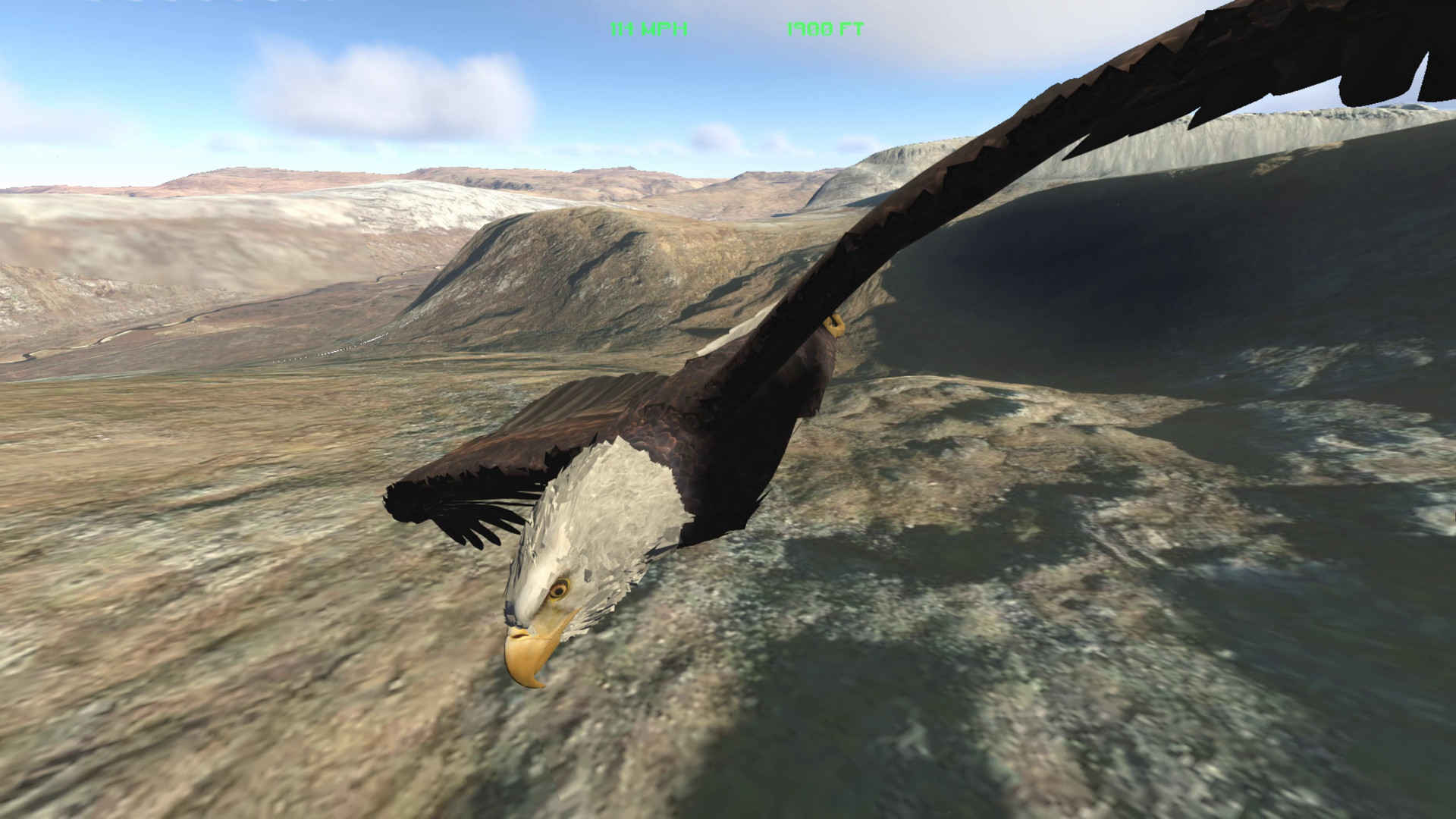 Aquila Bird Flight Simulator on Steam