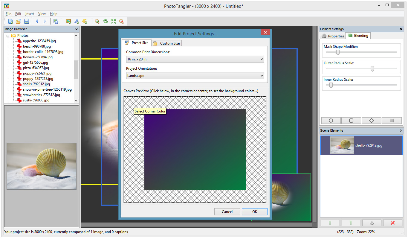 PhotoTangler Collage Maker on Steam