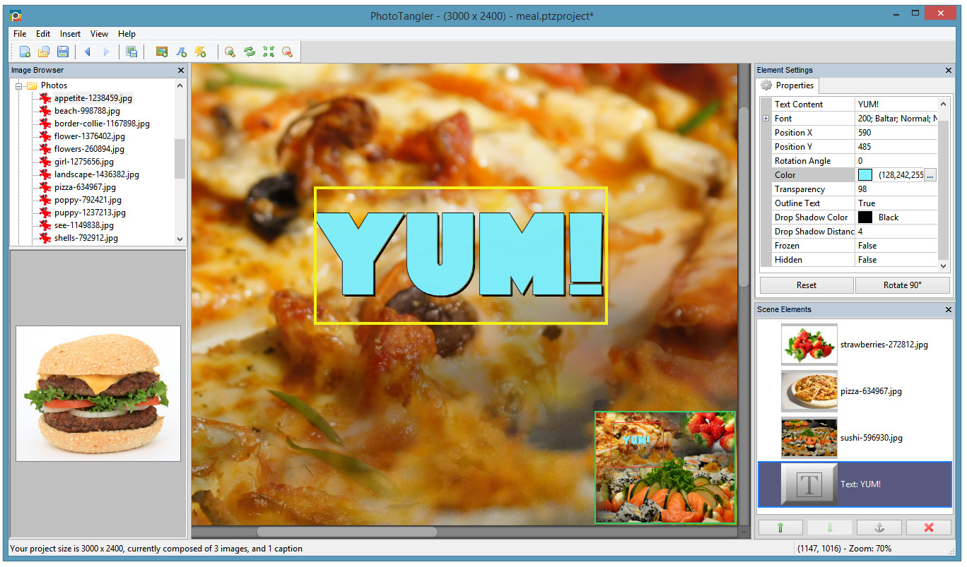 PhotoTangler Collage Maker on Steam