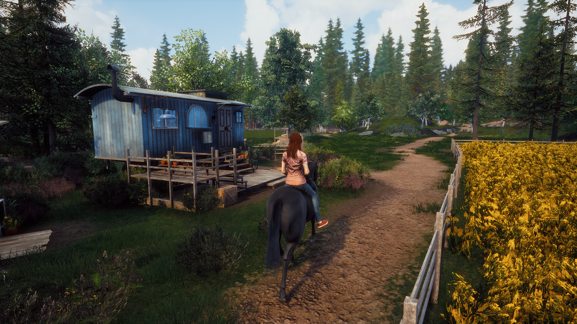 Windstorm: Start of a Great Friendship on Steam