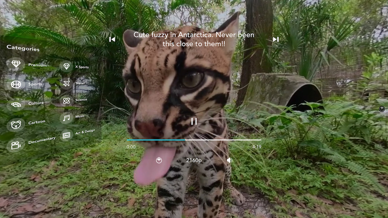 VeeR VR:VR Video and Movie Platform on Steam