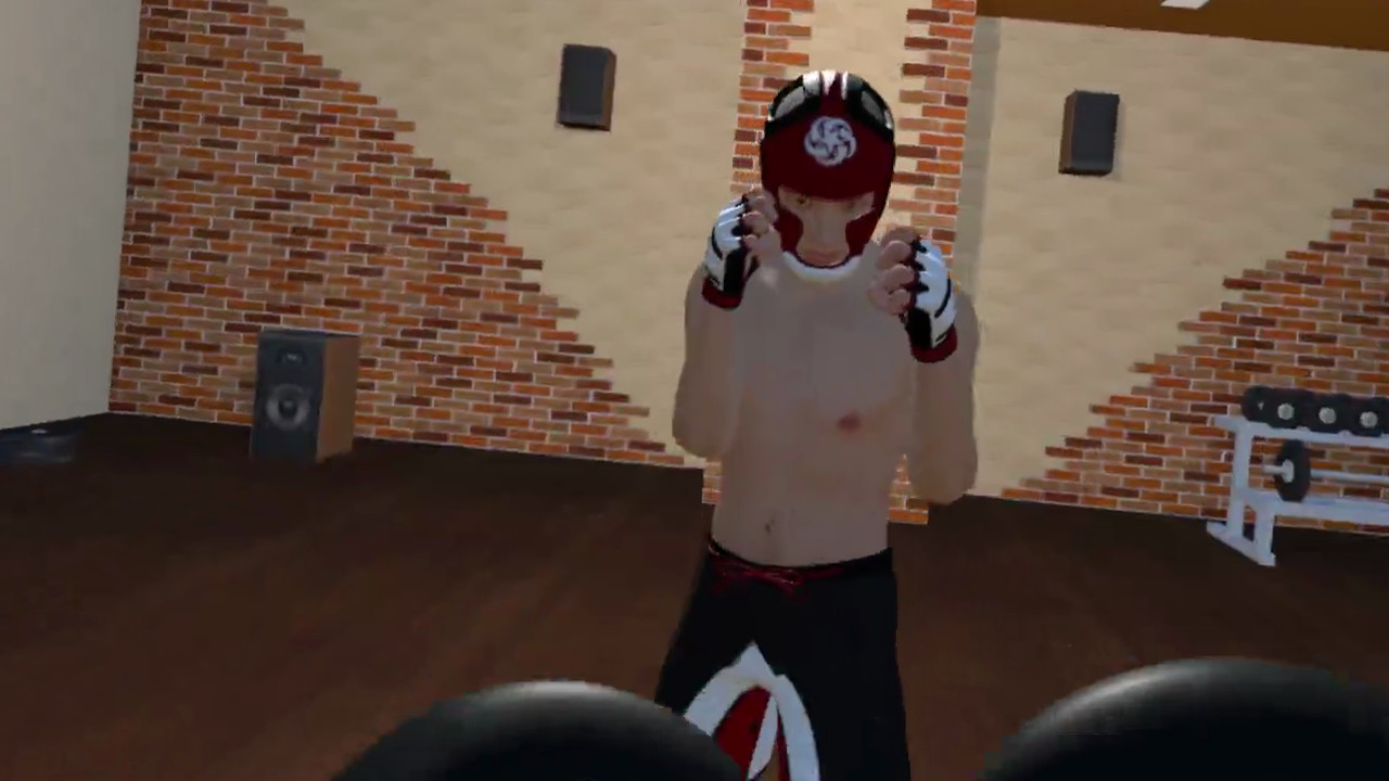 Fight Sparring VR on Steam
