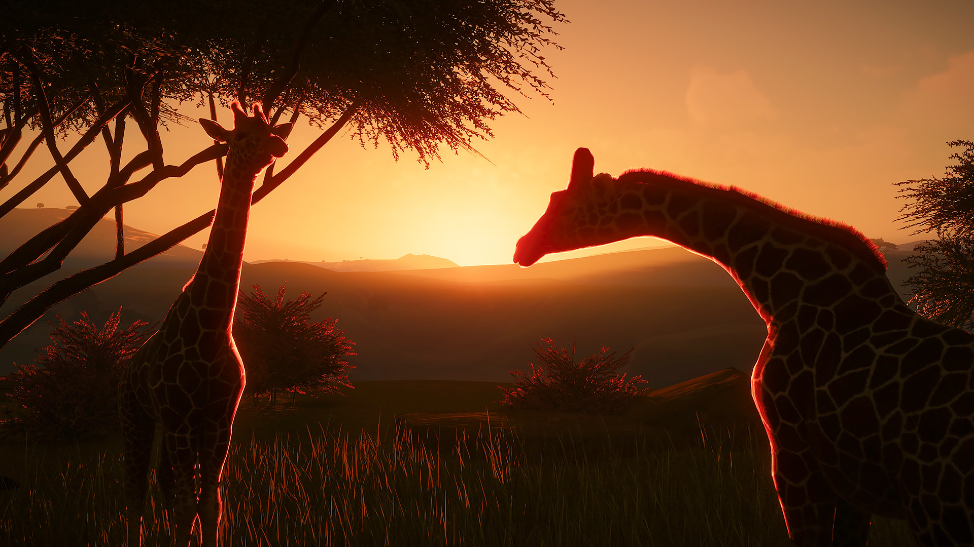 Planet Zoo Screenshots · SteamDB