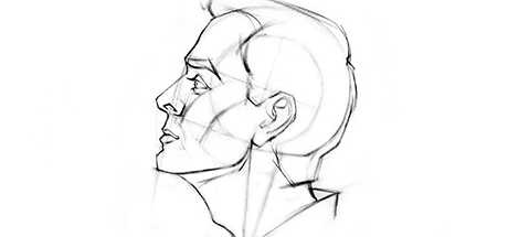 Portrait Drawing Fundamentals Course: How to Draw the Head – Side View ...