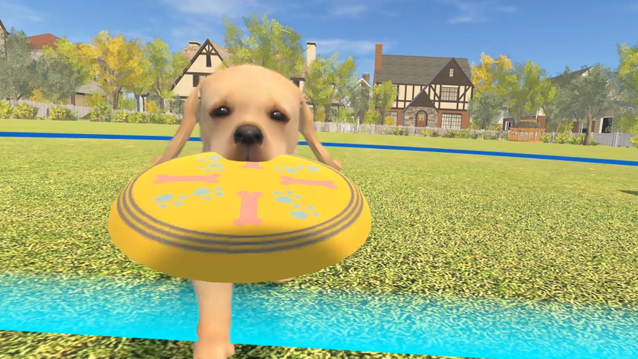 Dream Pets VR on Steam