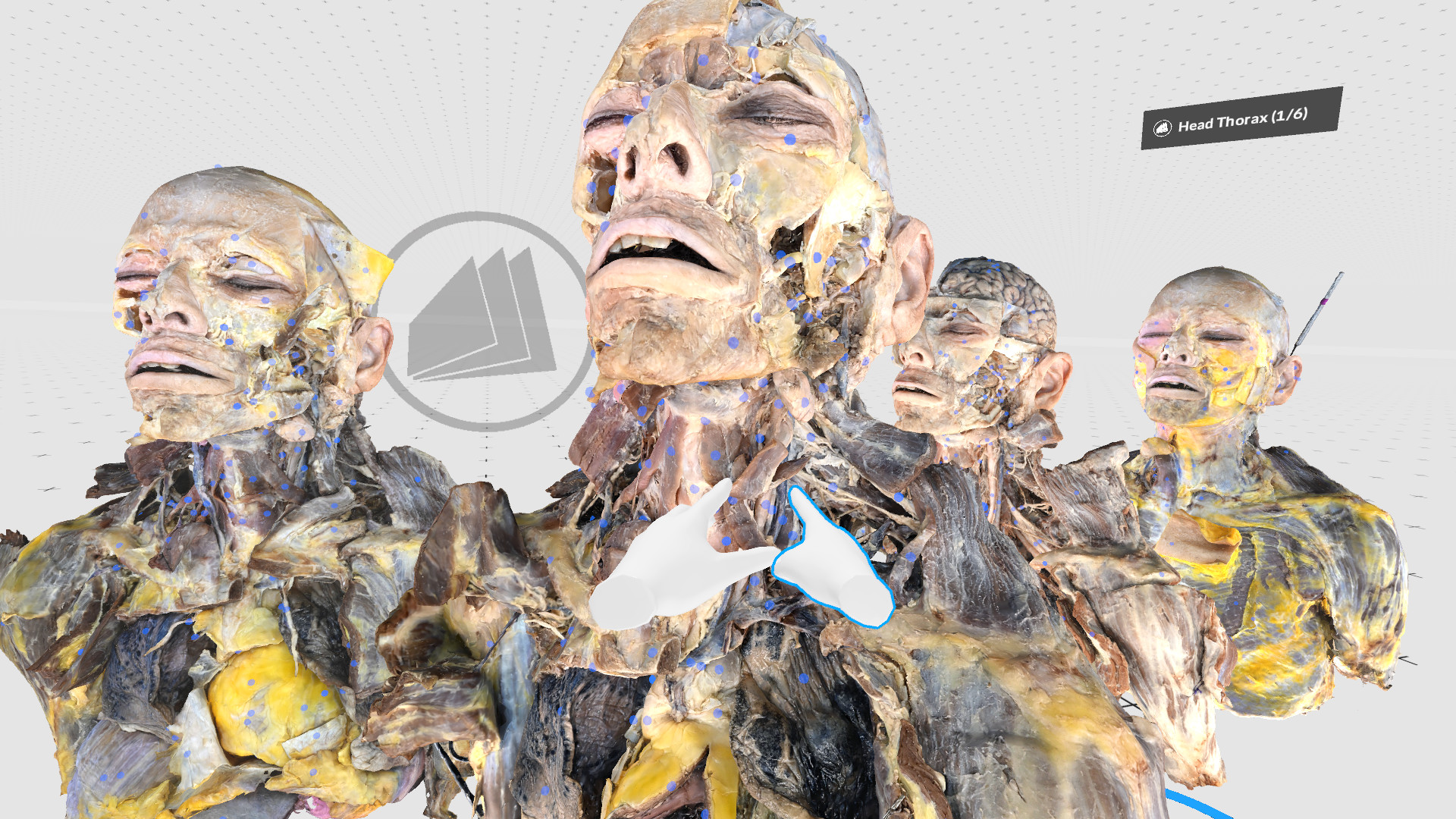 MEDICALHOLODECK. The DICOM Viewer and Human Anatomy Lab in Virtual ...