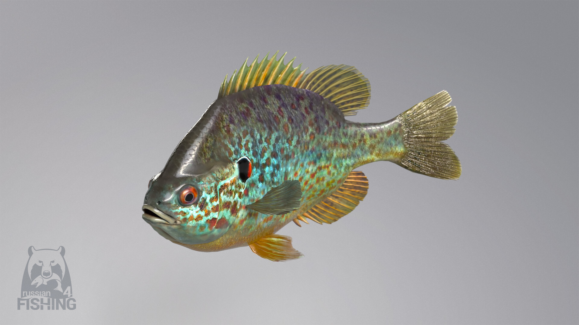 Russian Fishing 4 Screenshots · SteamDB