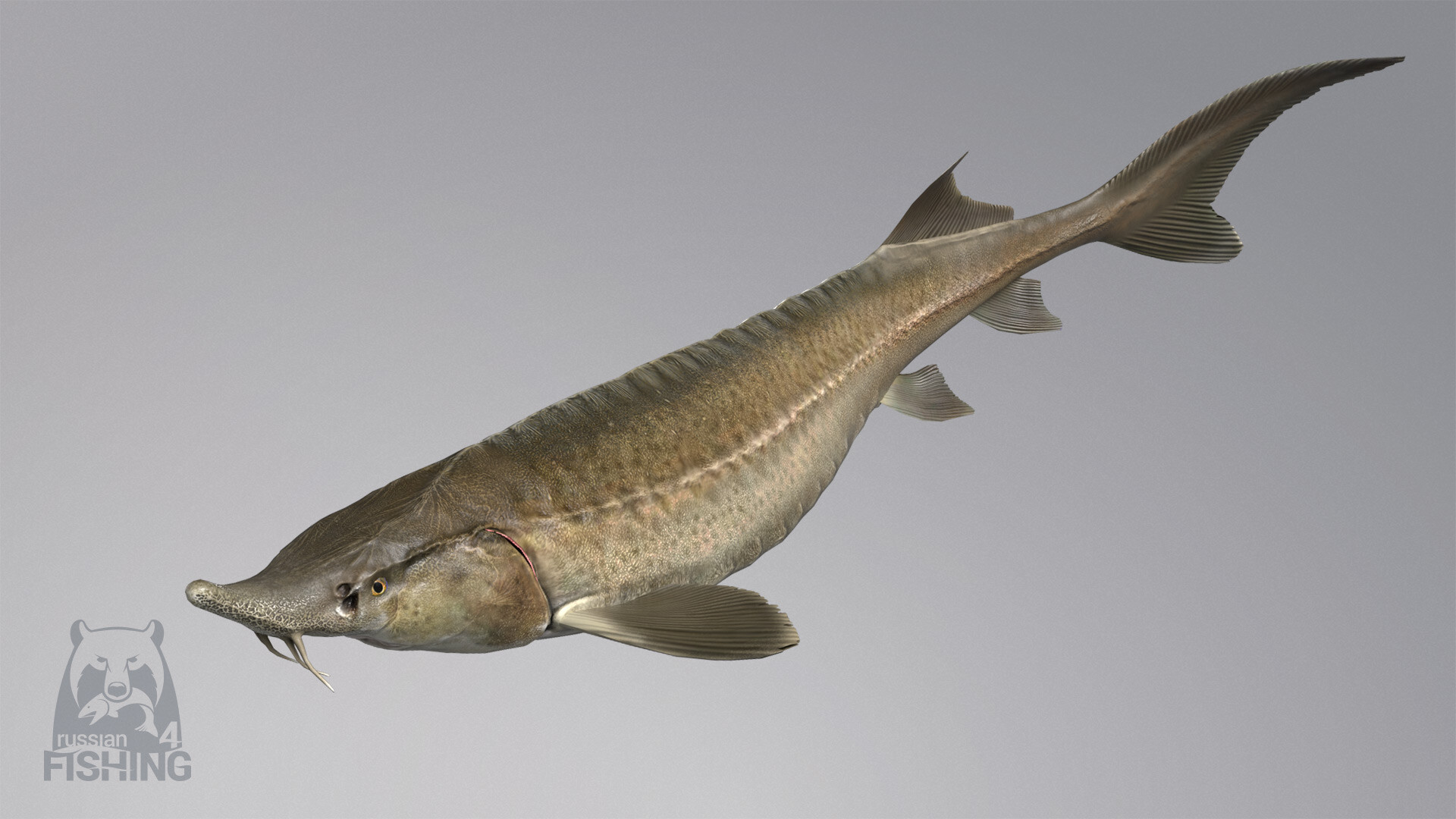 Russian Fishing 4 (App 766570) · Steam Charts · SteamDB