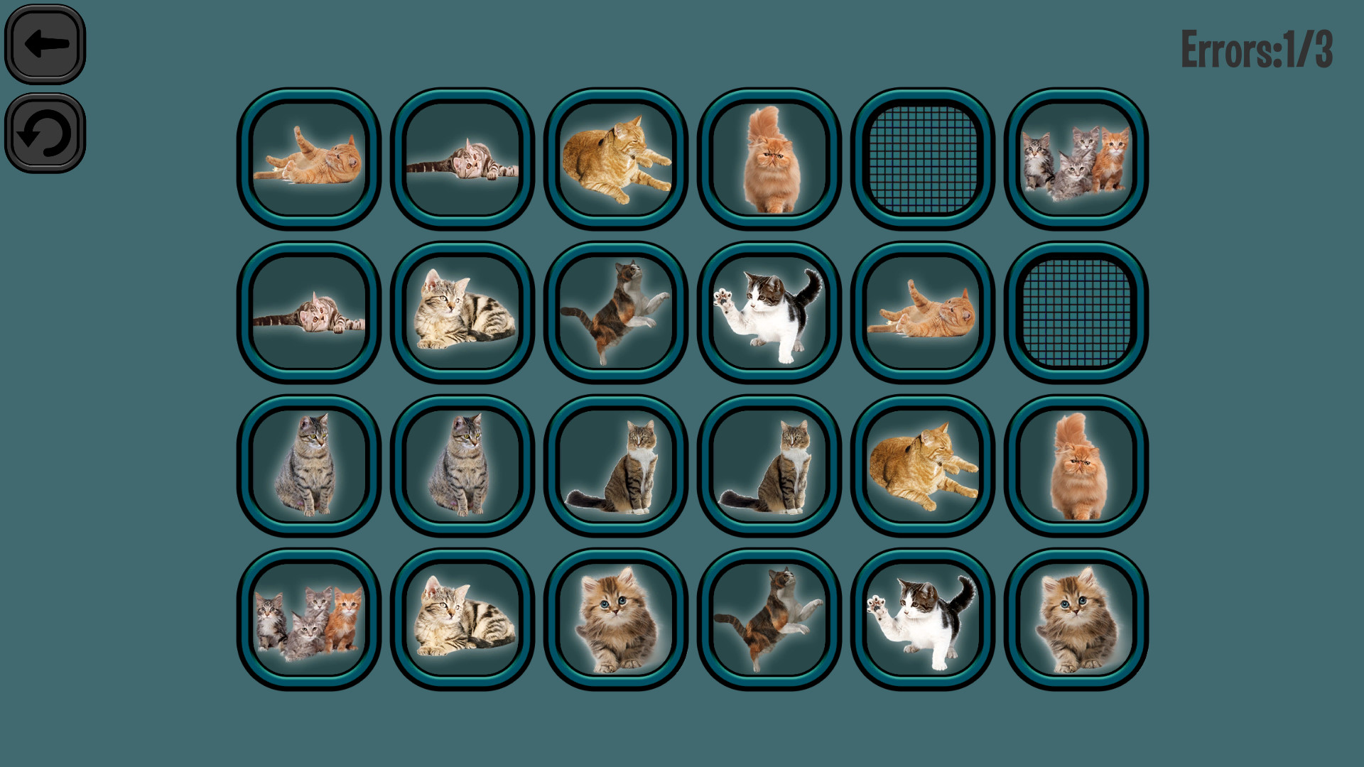 Animals Memory: Cats on Steam