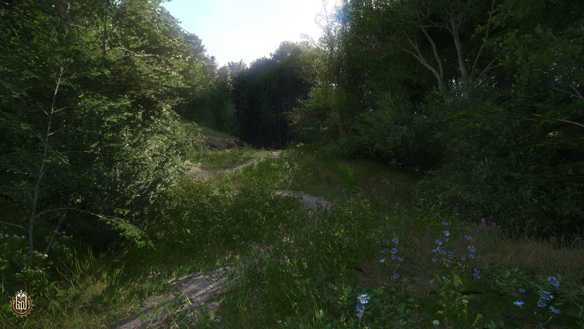 Kingdom Come: Deliverance – HD Texture Pack on Steam