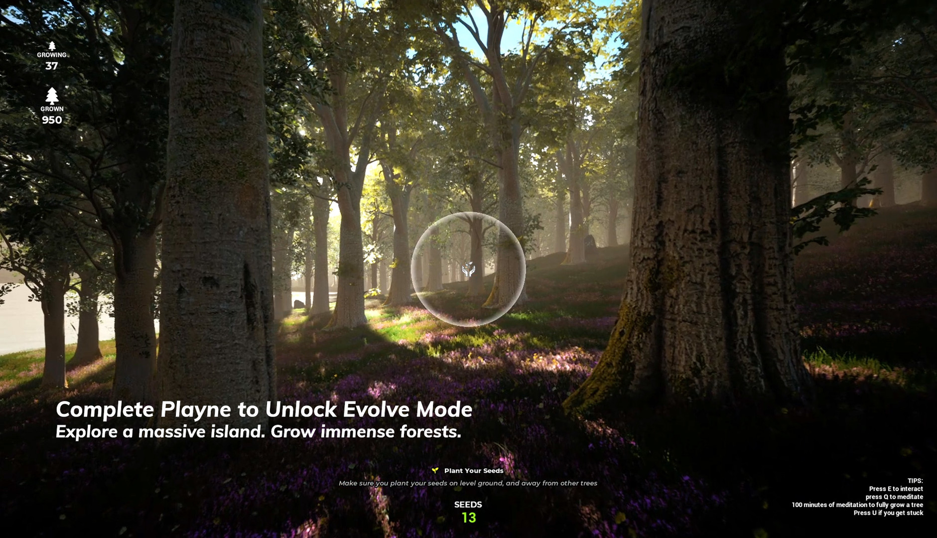 PLAYNE : The Meditation Game on Steam