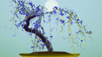 Tree Bonsai on Steam