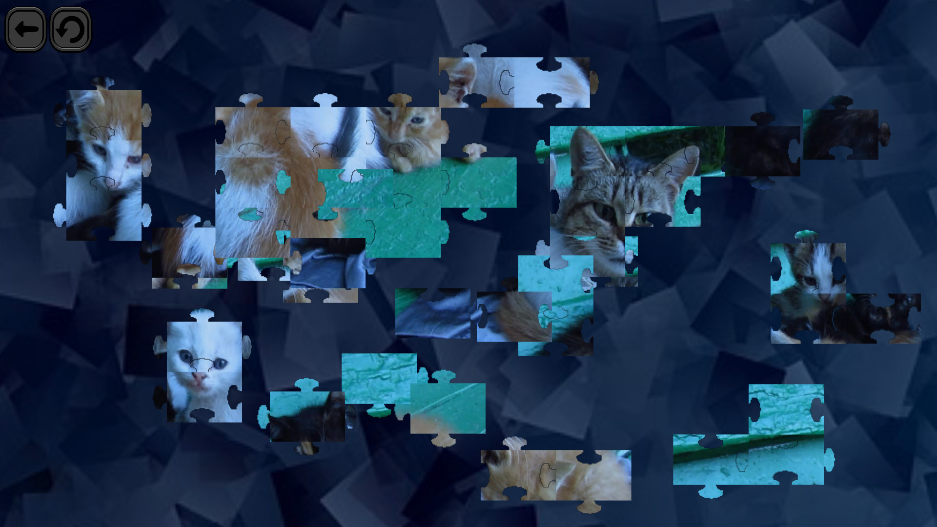 Puzzles for smart: Cats on Steam