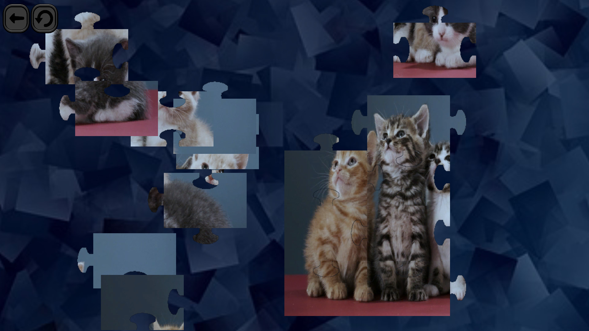 Puzzles for smart: Cats on Steam