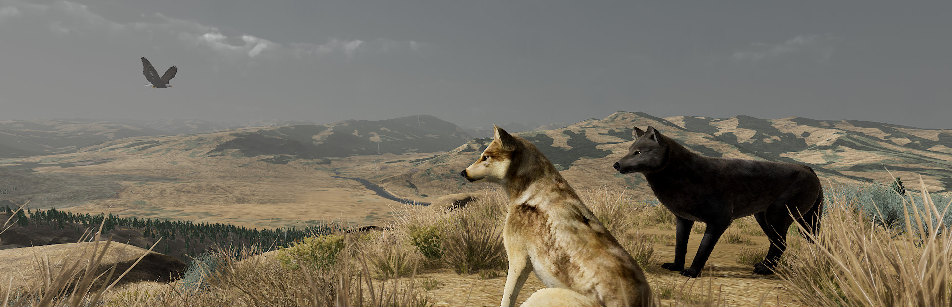 WolfQuest: Anniversary Edition (App 926990) · SteamDB