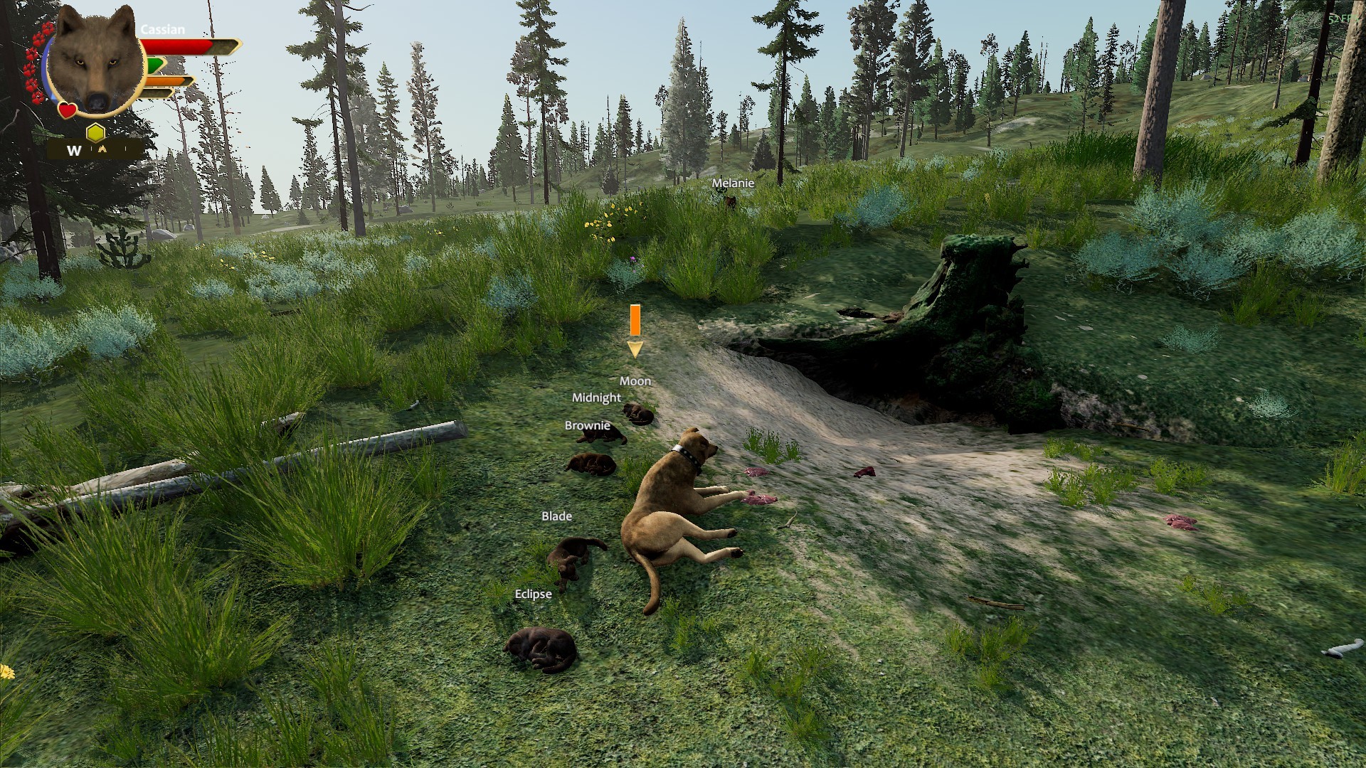 WolfQuest: Anniversary Edition Screenshots · SteamDB
