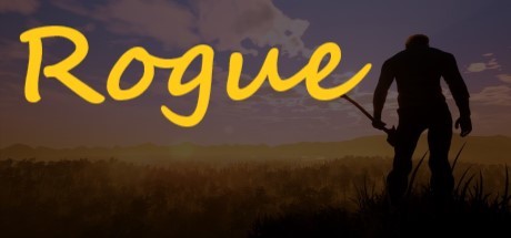 Rogue on Steam