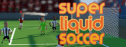 Super Liquid Soccer · SteamDB
