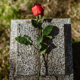 Wrought Flesh on Steam