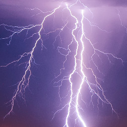 Wrought Flesh on Steam