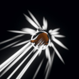 FurBalls Racing on Steam