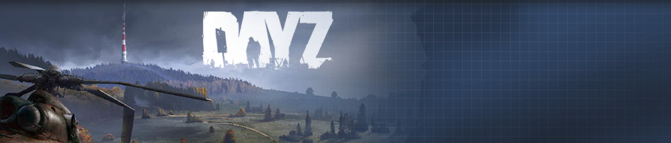 DayZ