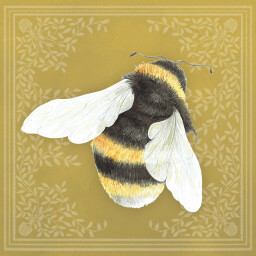 Pocket Oasis on Steam