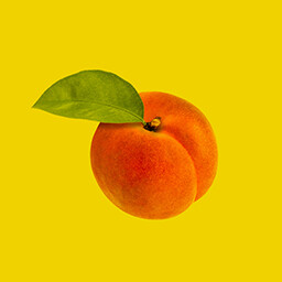 Save 20% on Leaving DNA on Steam