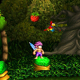 Tomba! Special Edition on Steam
