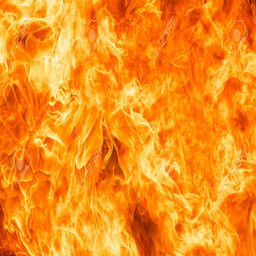 Loser Simulator on Steam