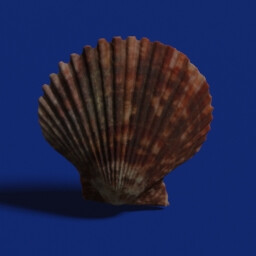 Shells Shooter on Steam