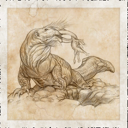 Evolution Board Game on Steam