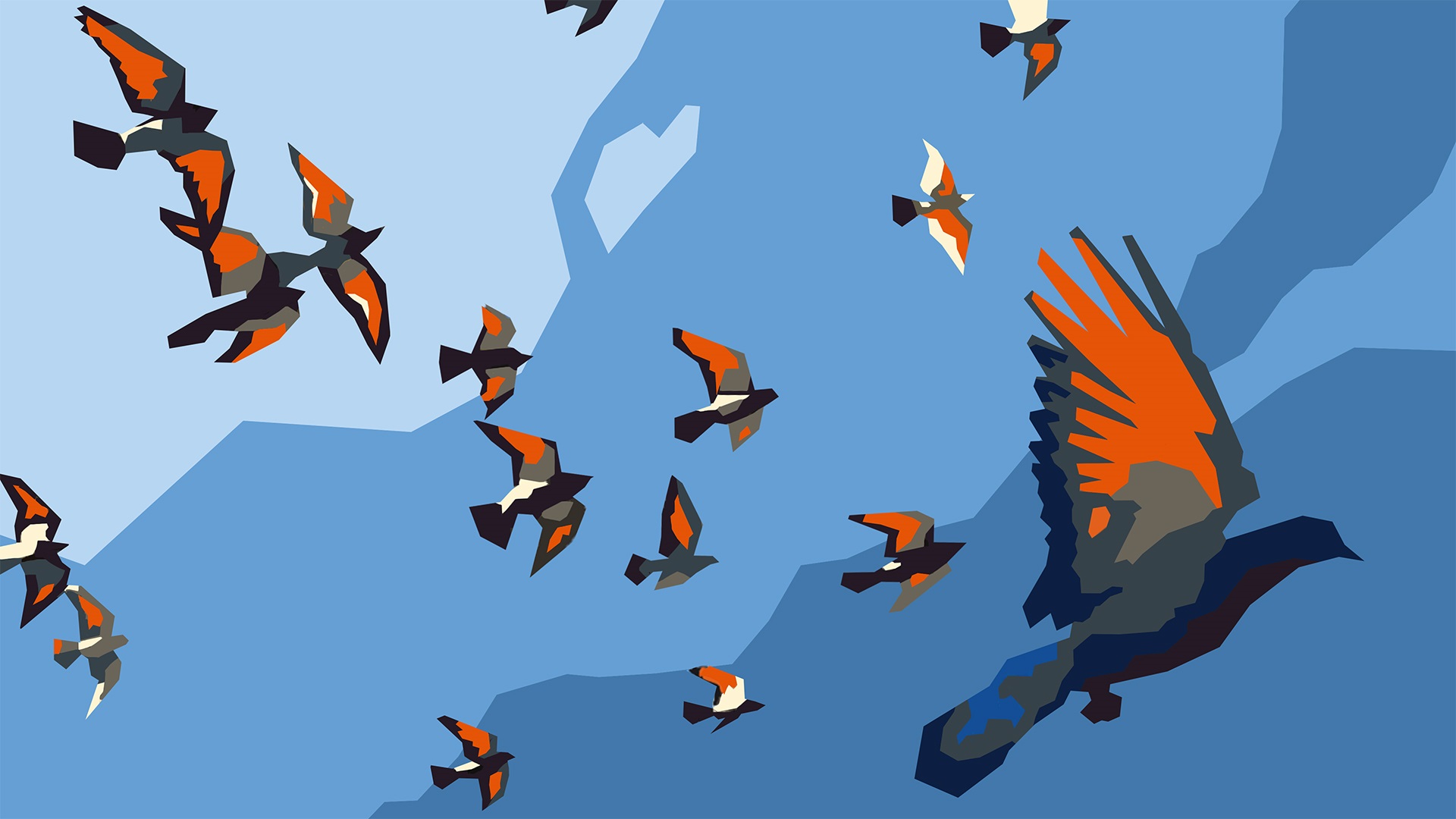 Showcase :: Fly Corp