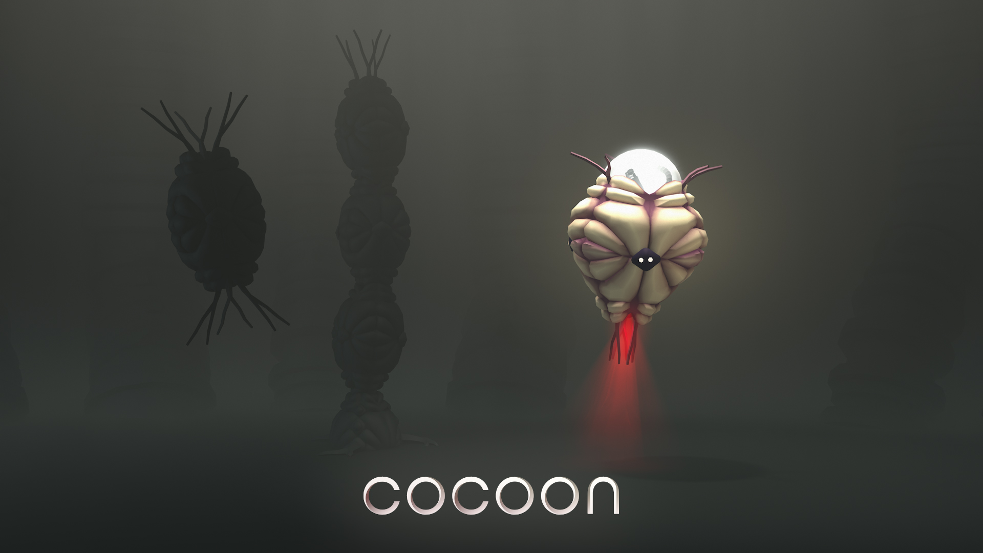 Showcase :: COCOON