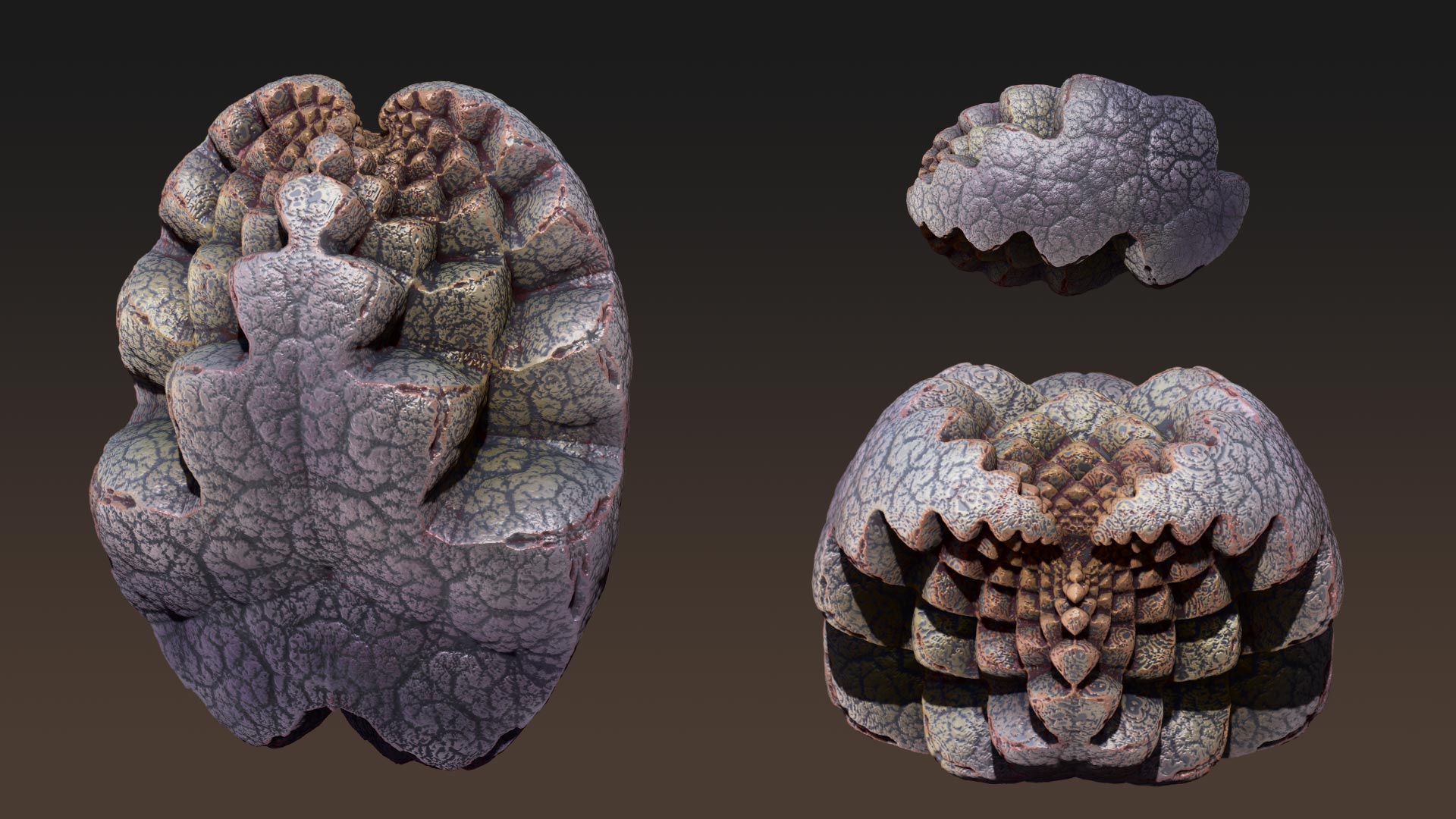 Showcase :: Crashed Lander