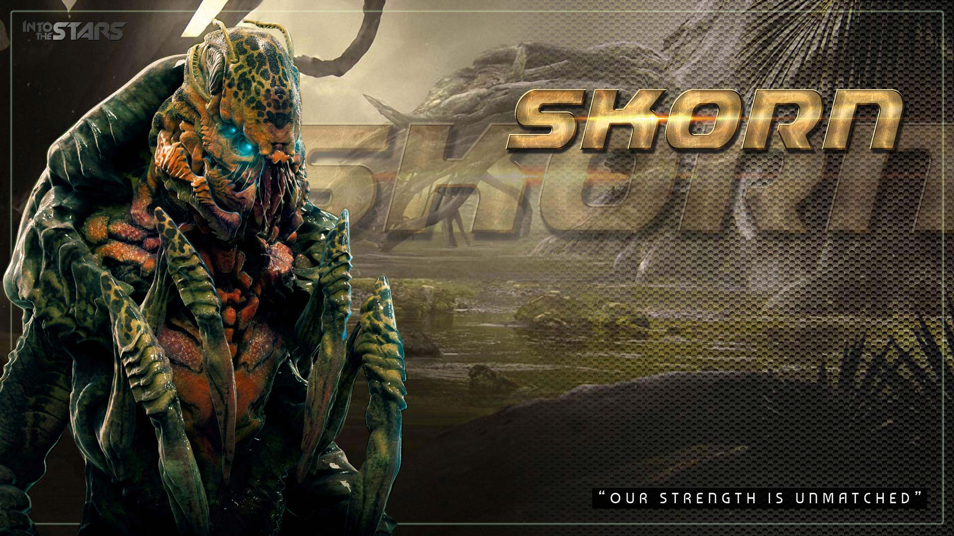 Showcase :: Into the Stars