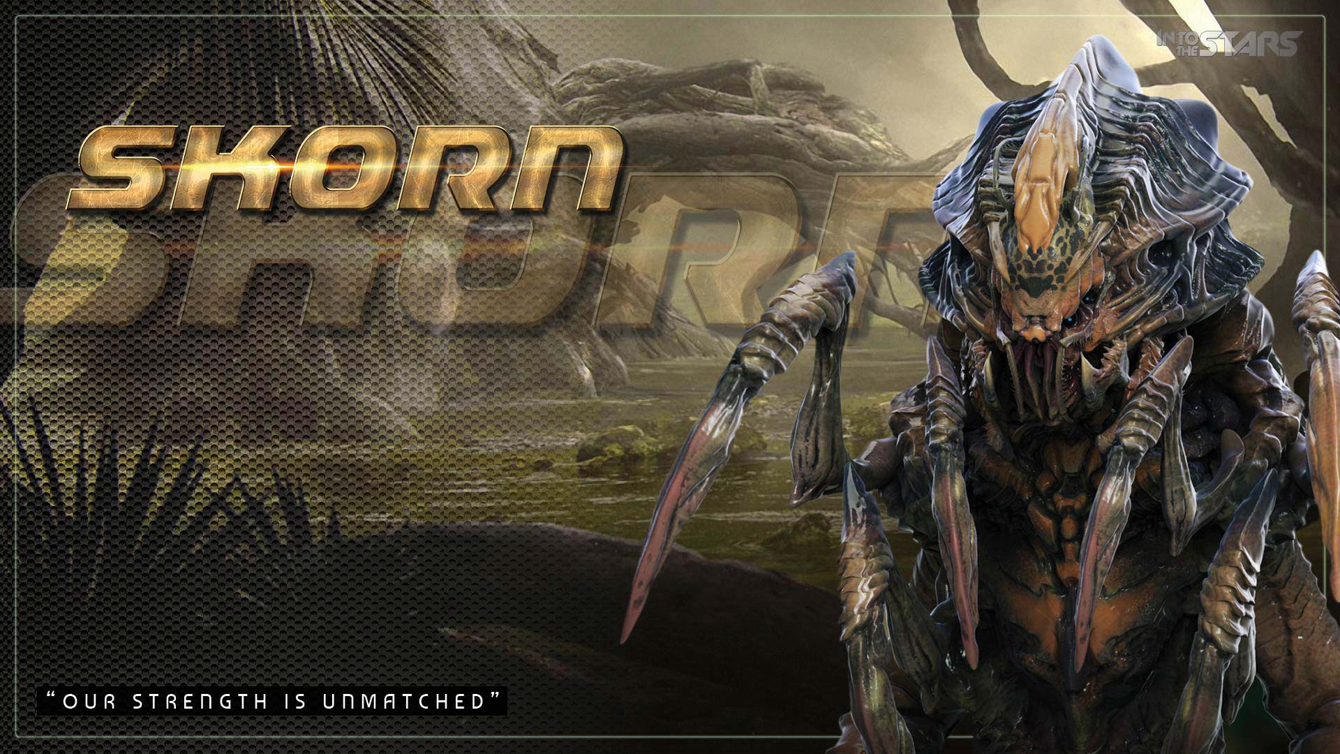 Showcase :: Into the Stars